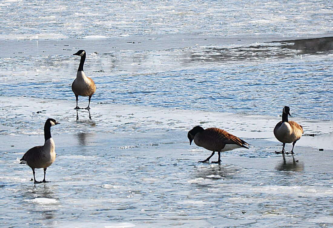 Picture This: A Day at the ‘Beach’ | News, Sports, Jobs - News and Sentinel